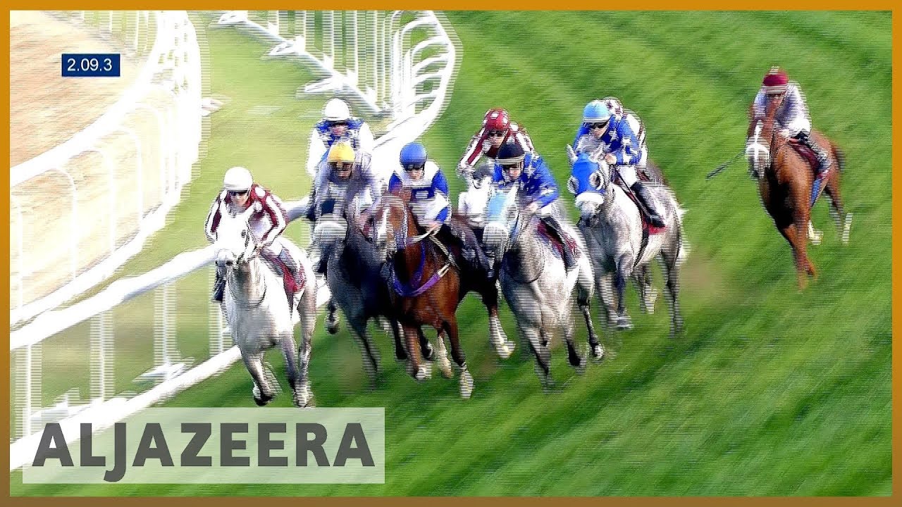 🇶🇦 Qatar hosts international horse racing festival | Al Jazeera English ...