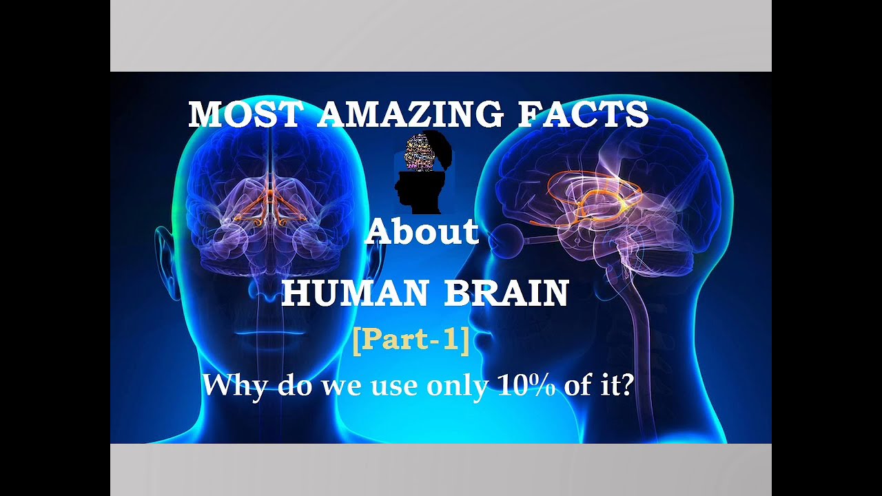 Annotated Brain Physiology 6 - YouTube