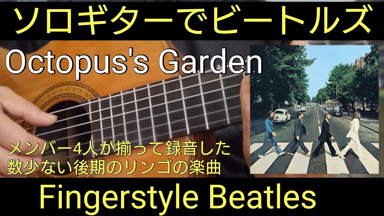 Octopus's Garden/The Beatles/ソロギターでビートルズ/Fingerstyle Beatles - YouTube