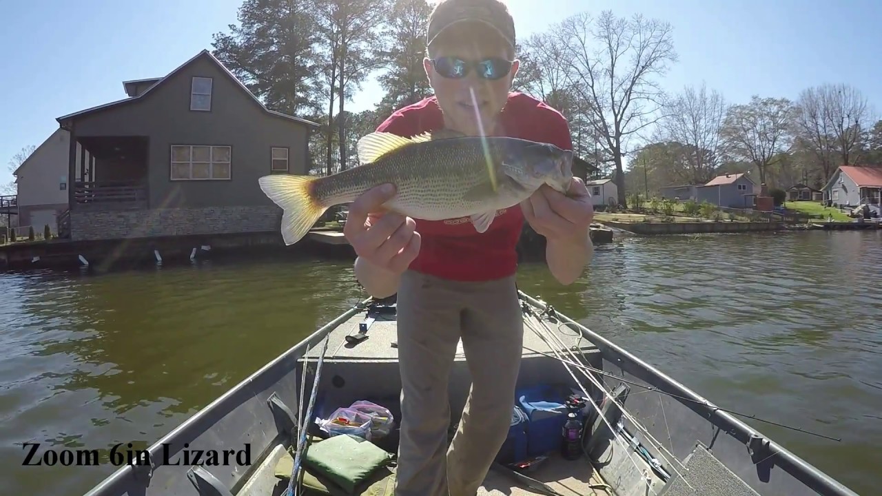 Early Spring Fishing for Bass on Lay Lake - YouTube