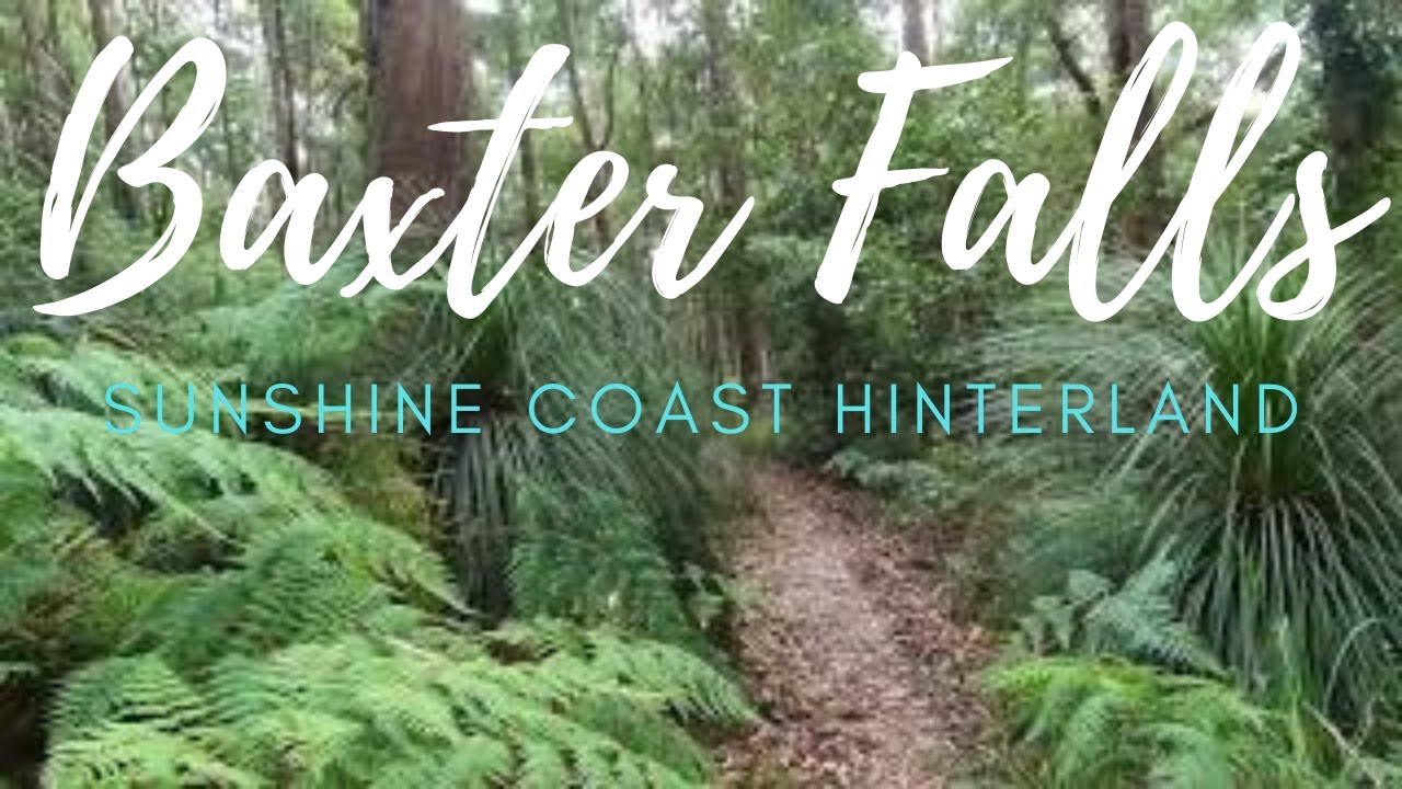 Sunshine Coast Kondalilla National Park. Baxter Falls - YouTube