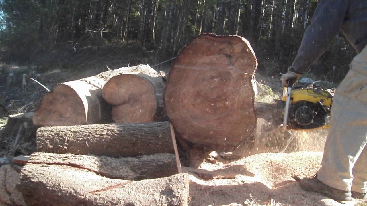 McCulloch antique SP-125 chainsaw - YouTube