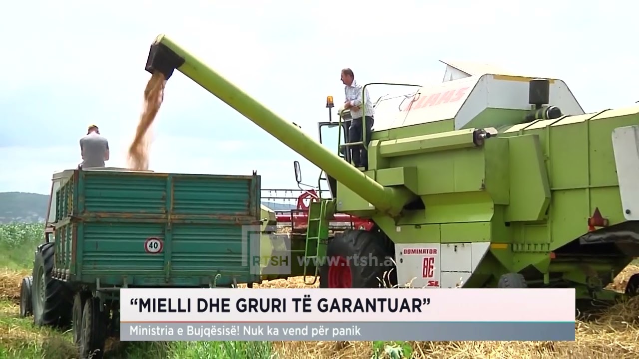 Mielli dhe gruri të garantuar - YouTube