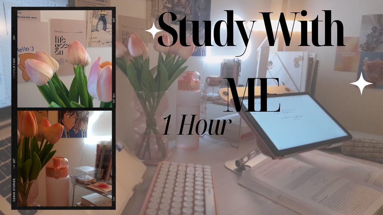 1 hour study session!! No break| winter evening sound - YouTube
