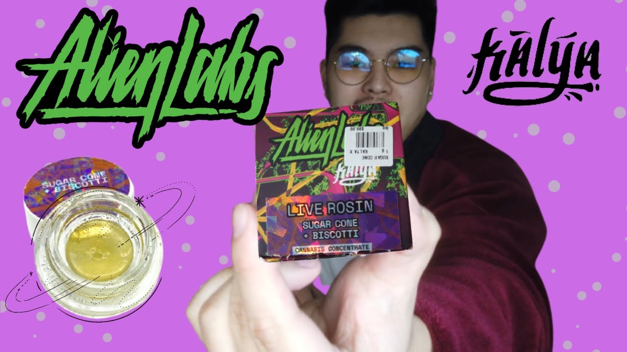 Alien Labs x Kalya Sugar Cone Biscotti LIVE ROSIN! - YouTube