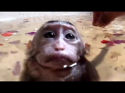 Baby Chilo Very Happy Playing In The Water - YouTube