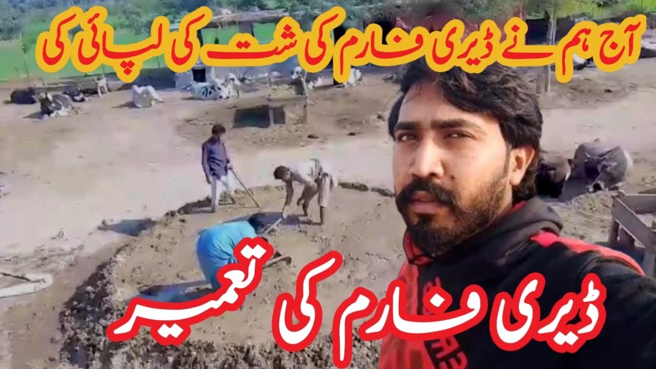 Most Beautiful life in village || Aj ham ne deri farm ki chat ki lapai ...