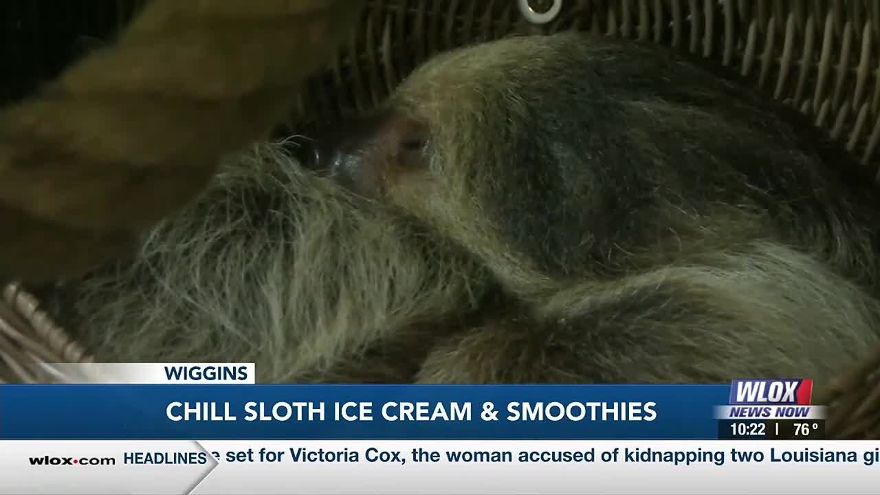 Wiggins ice cream shop aims to stop animal trafficking - YouTube