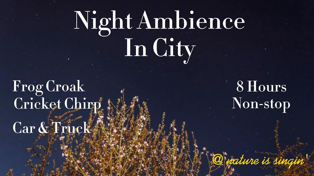 Night Ambience in City; Frog, Cricket, Car - Stress Relief, Relaxing ...