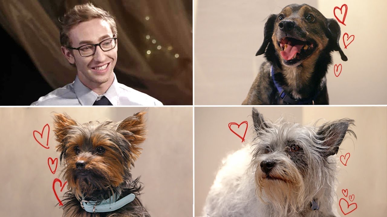 Which of These Dogs Will Win a Date For Their Owner? - YouTube