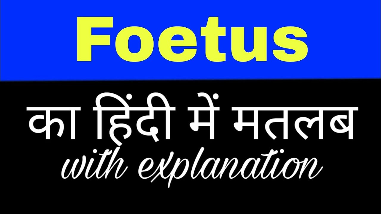 Foetus Meaning In Hindi Foetus Ka Matlab Kya Hota Hai English To