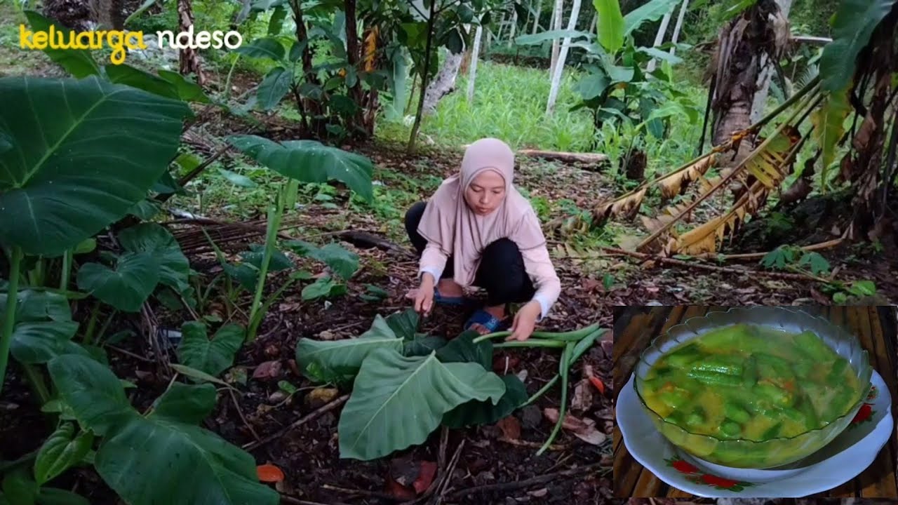 masak di desa,makan malam dengan sayur lodeh lompong nikmat nya luar ...