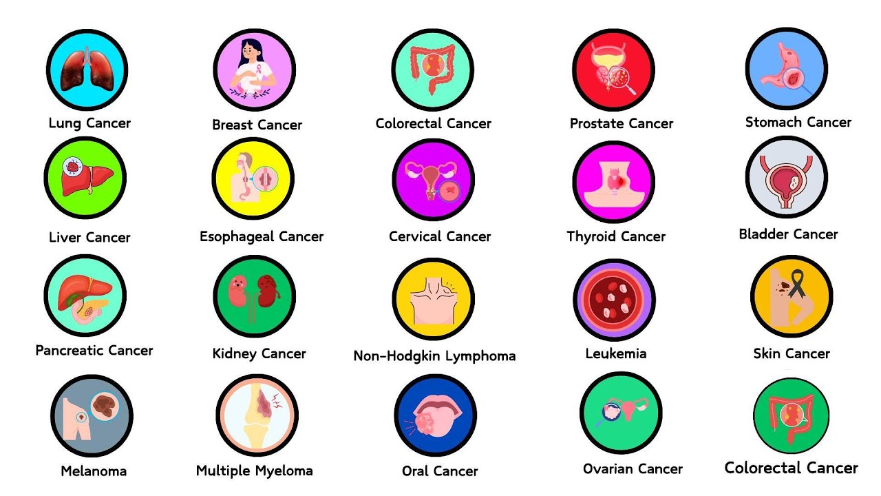 Every Common Cancer Explained in 25 Minutes (Part 1) - YouTube