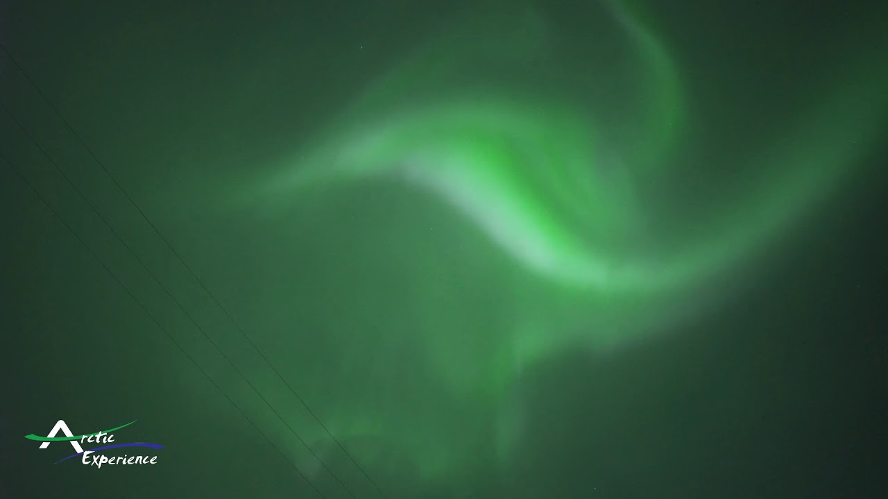 The Hunt, Dec 28th, 2018 - YouTube