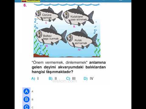 5.Sınıf Türkçe Atasözleri ve Deyimler Konu Pekiştirme Testi