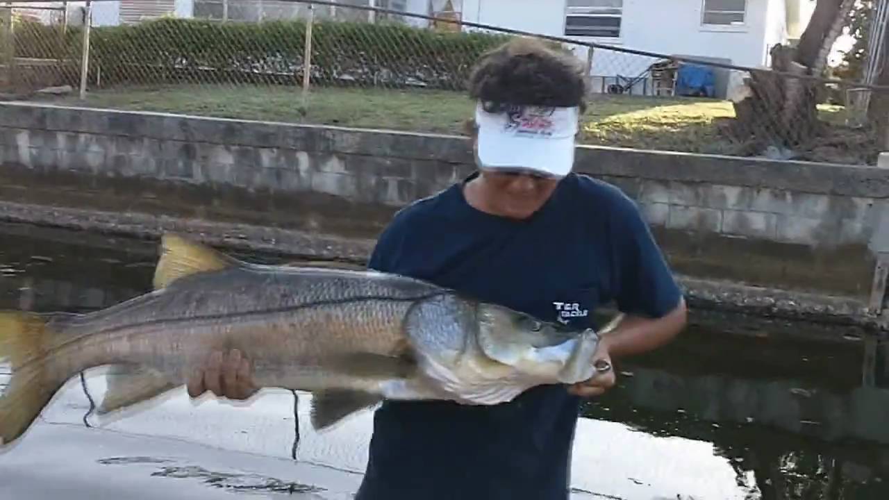 Giant Snook on Ultra Light! - YouTube