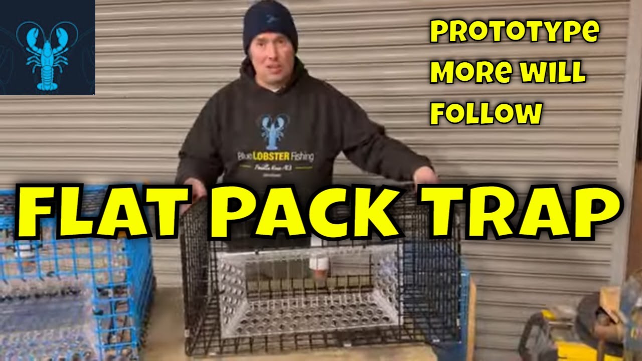 Trap In A Box: The Ultimate Flat Pack Trap - YouTube
