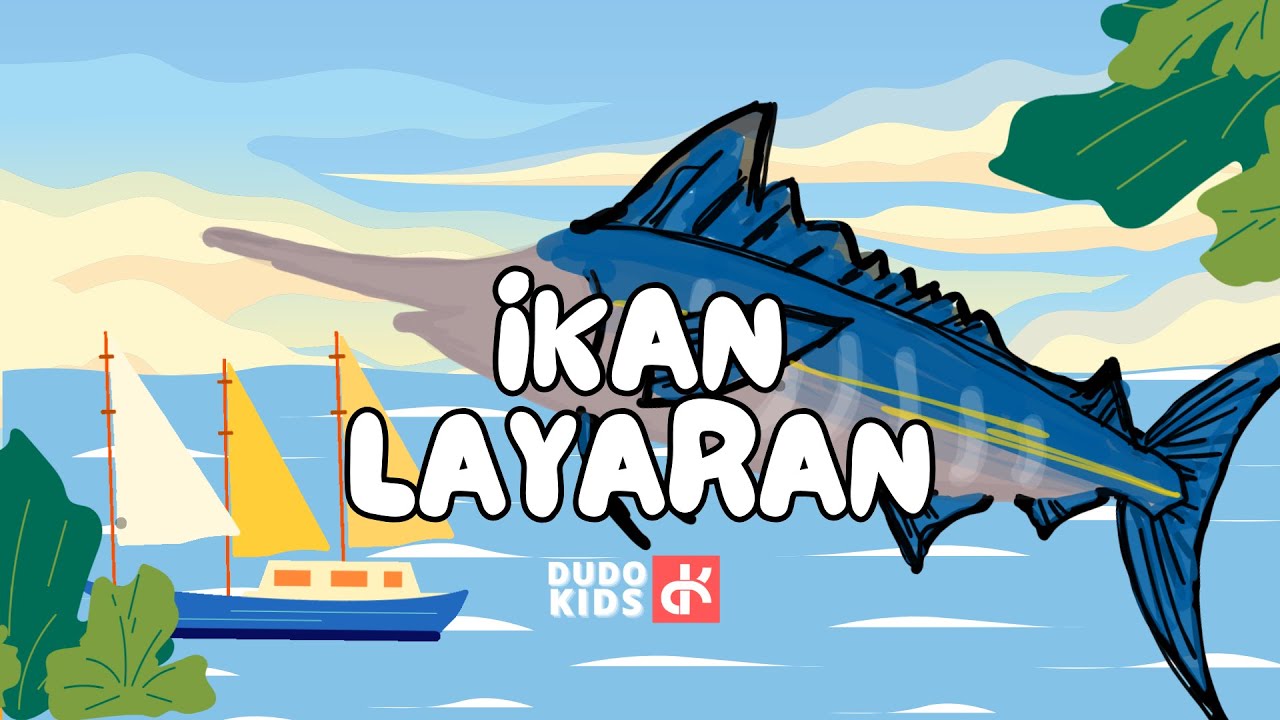 Fakta Unik Ikan Layaran Ikan Yang Menetaskan Telur Tercepat di Dunia ...