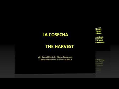 The Harvest (La Cosecha, en inglés) - YouTube