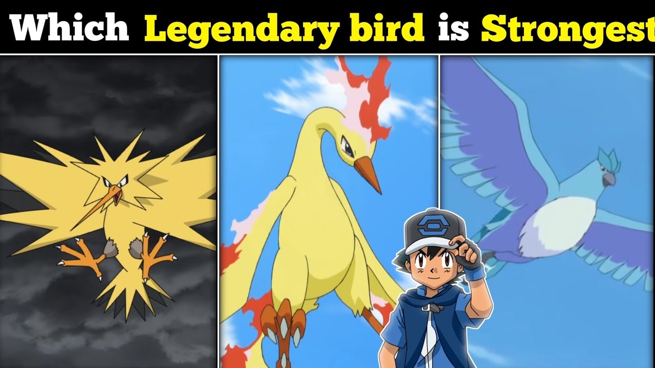 Which legendary bird is strongest || finding best legendary bird ...