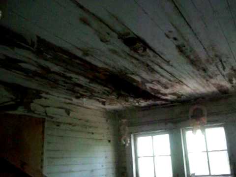 Most disgusting house in Douglasville. - YouTube
