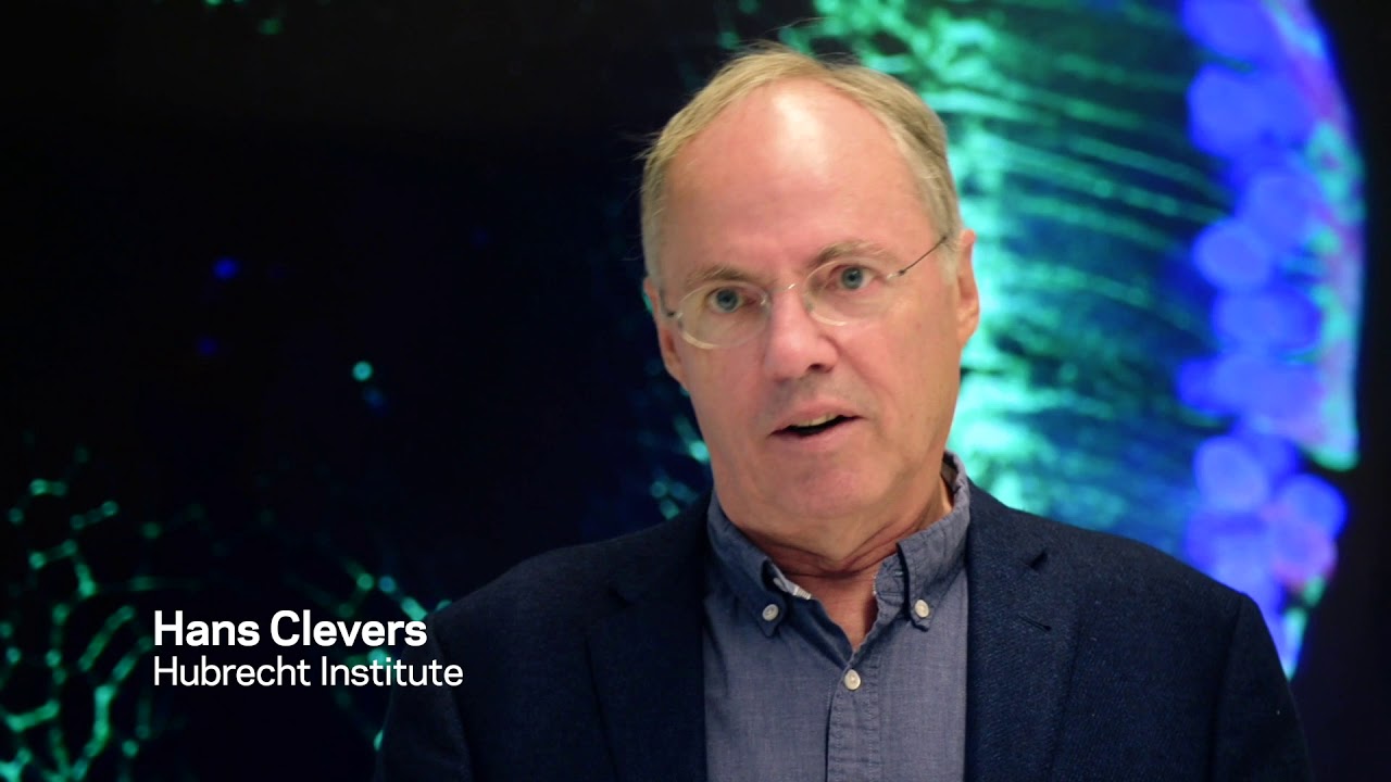 Hans Clevers - Using CRISPR to model cancer in human organoids (mini ...