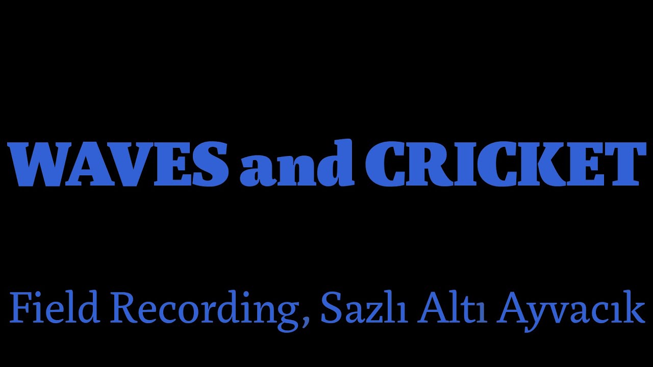 Waves and Cricket Sound. 8 minutes Field Recording. Sazlı Altı Ayvacık ...