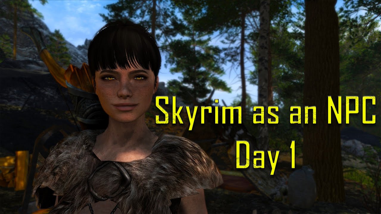 Immersive Skyrim as an NPC - Day 1 - YouTube