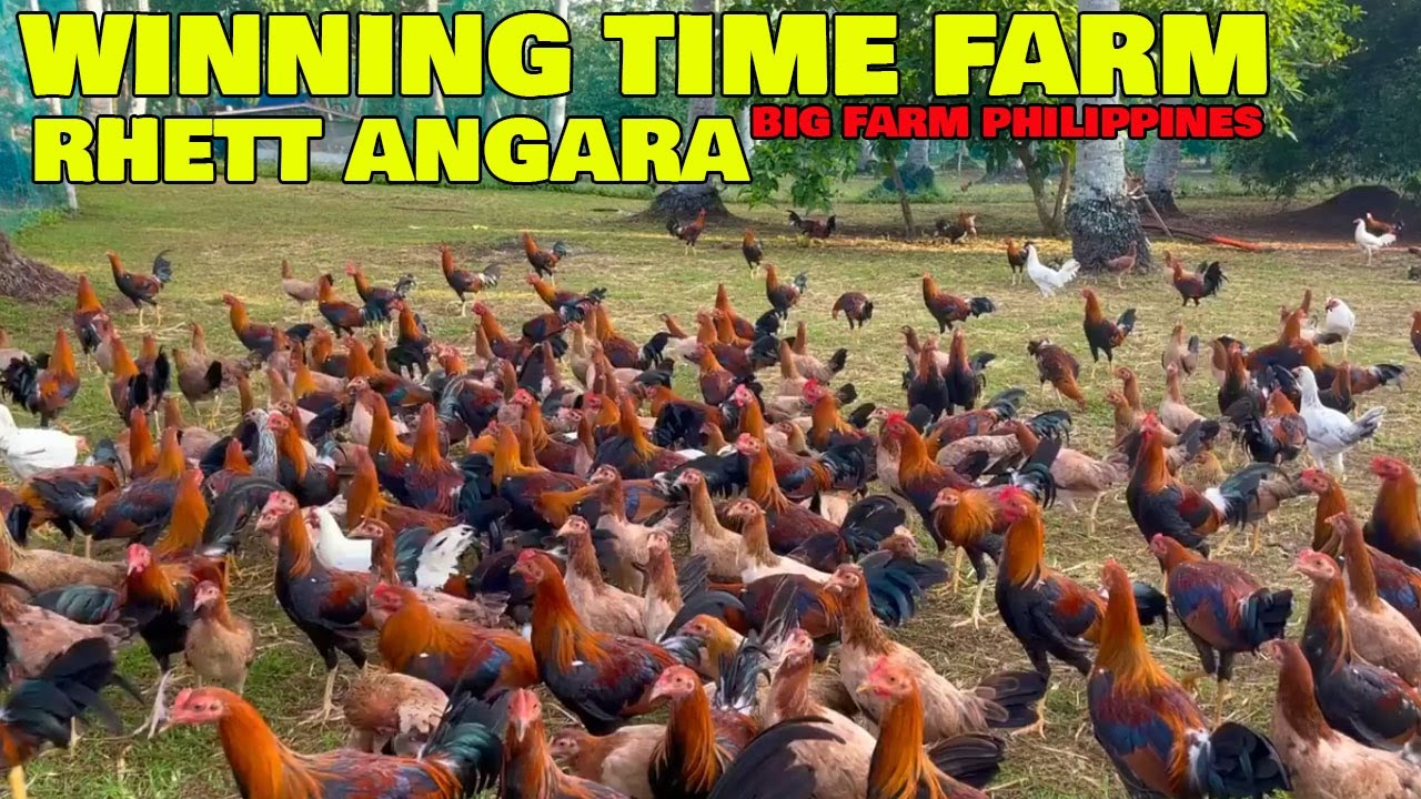 Rhett Angara Winning Time Farm Visit - YouTube