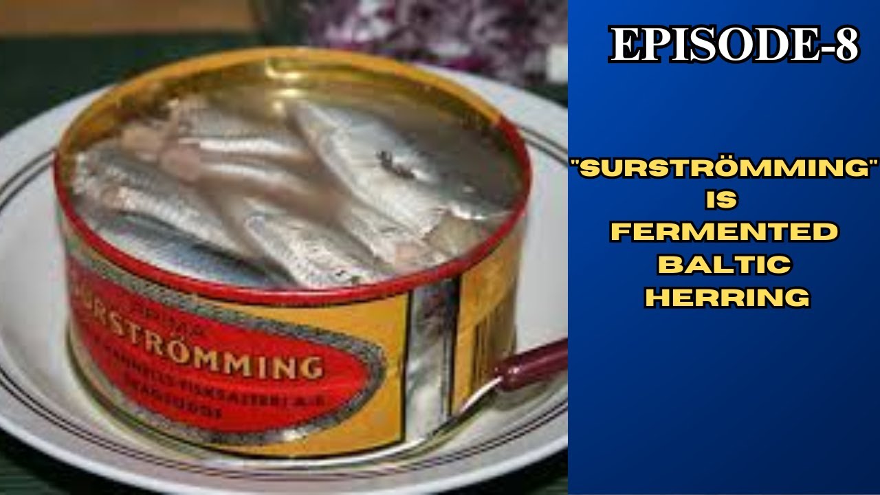 The SURTROMMING Is Fermented Balatic Herring | How To Make SURSTROMMING ...
