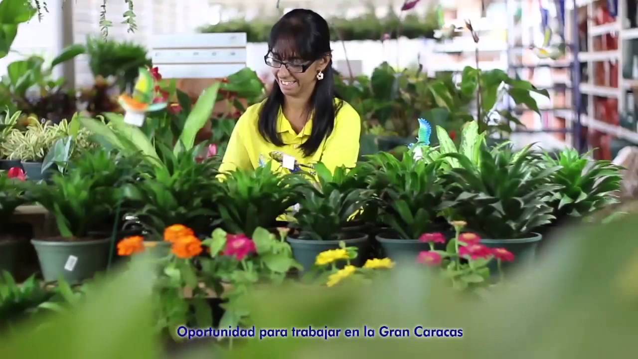 Oportunidad de empleo en EPA Caracas - YouTube