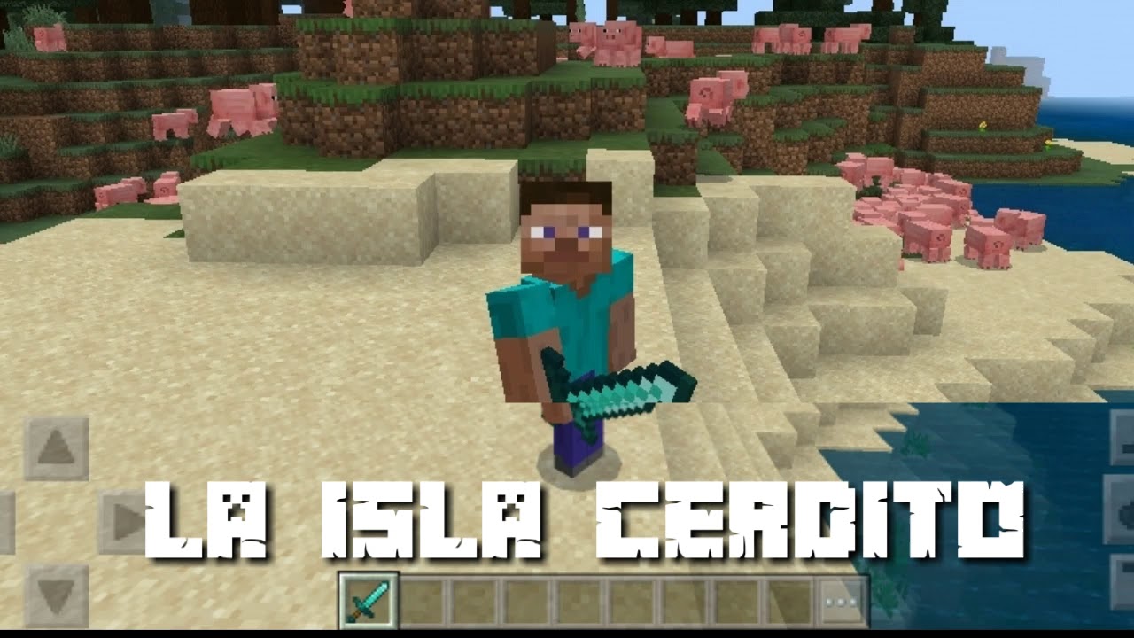 Encuentro la isla cerditos - YouTube