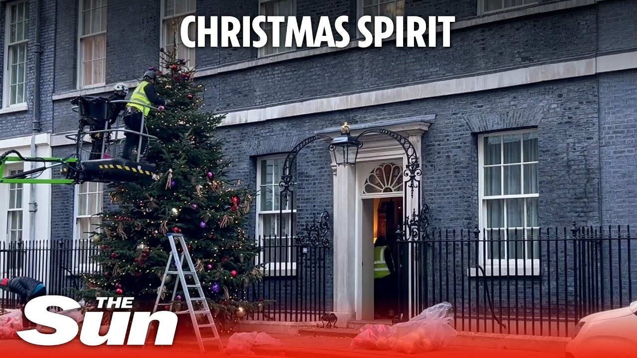 Downing St illuminated: Christmas tree installation signals festive ...