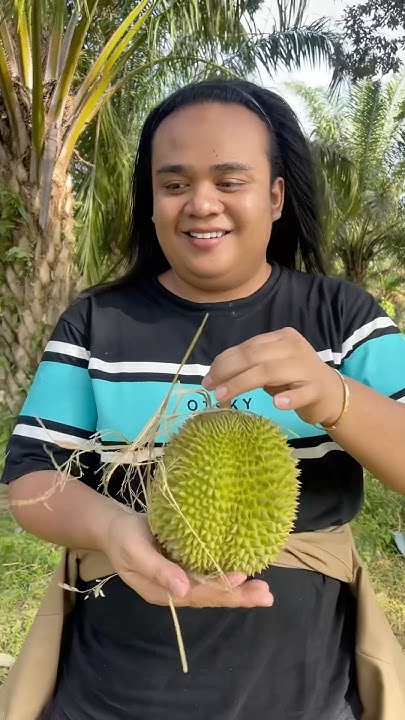 Durian jatuh dari pohon ny emang lebih enakkk!!! - YouTube