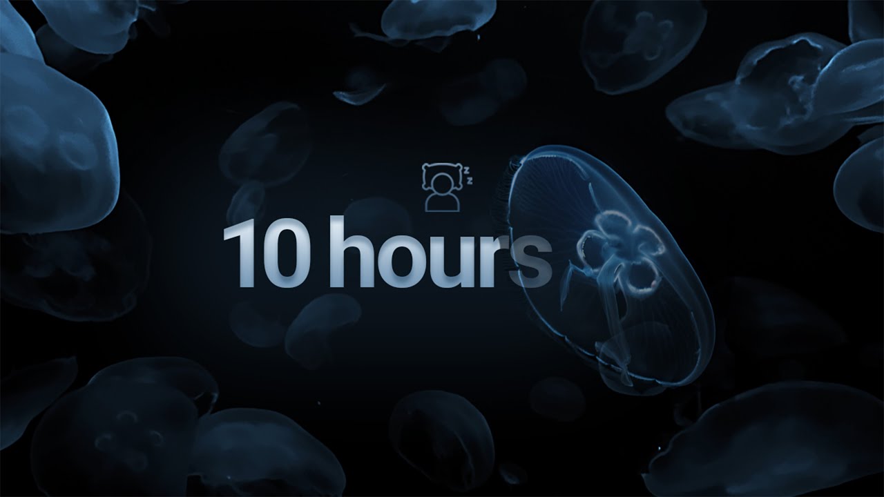 10 Hrs of Ocean Sounds & Jellyfish | Moon jellyfish swimming in 4k ...