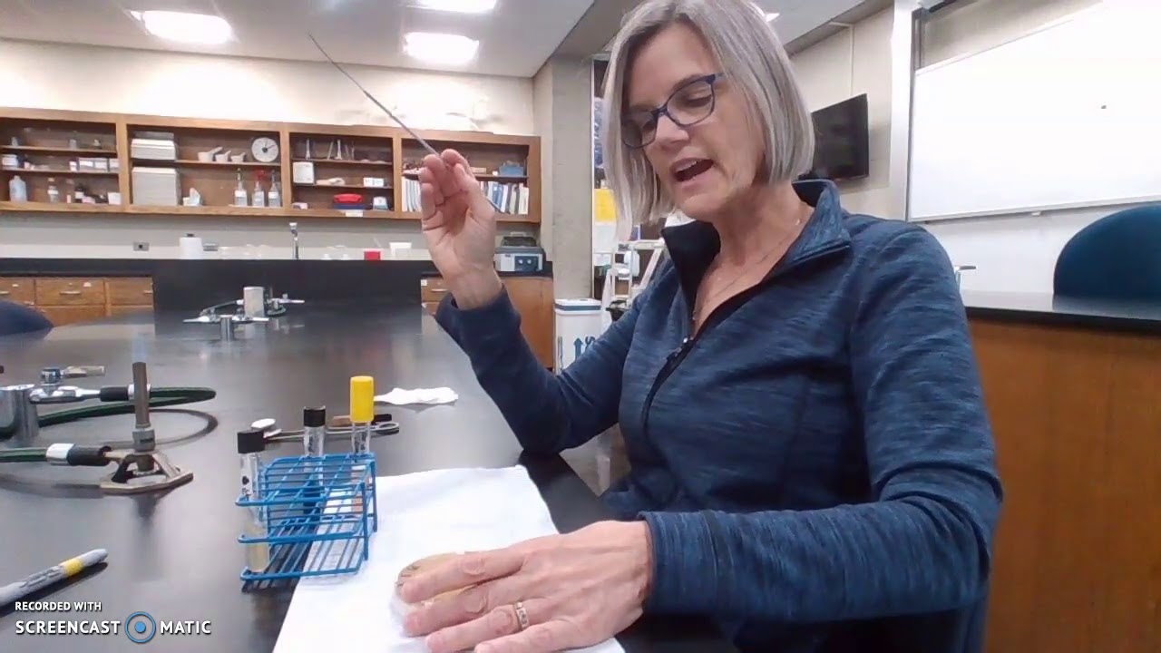 Microbiology inoculating broths and slants 202110 - YouTube