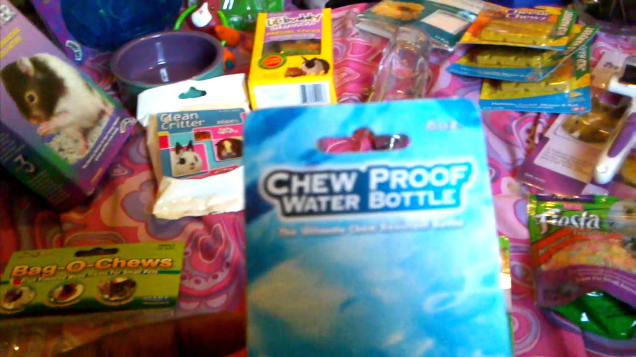 Petsmart Haul and New Gerbils - YouTube