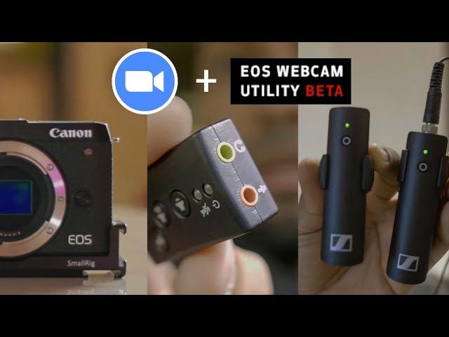 Canon webcam