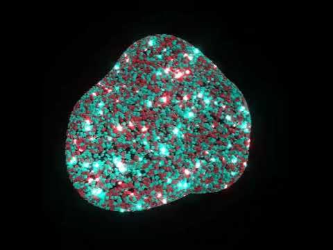 Javascript Nebula: Mesmerizing Particle Animation - YouTube