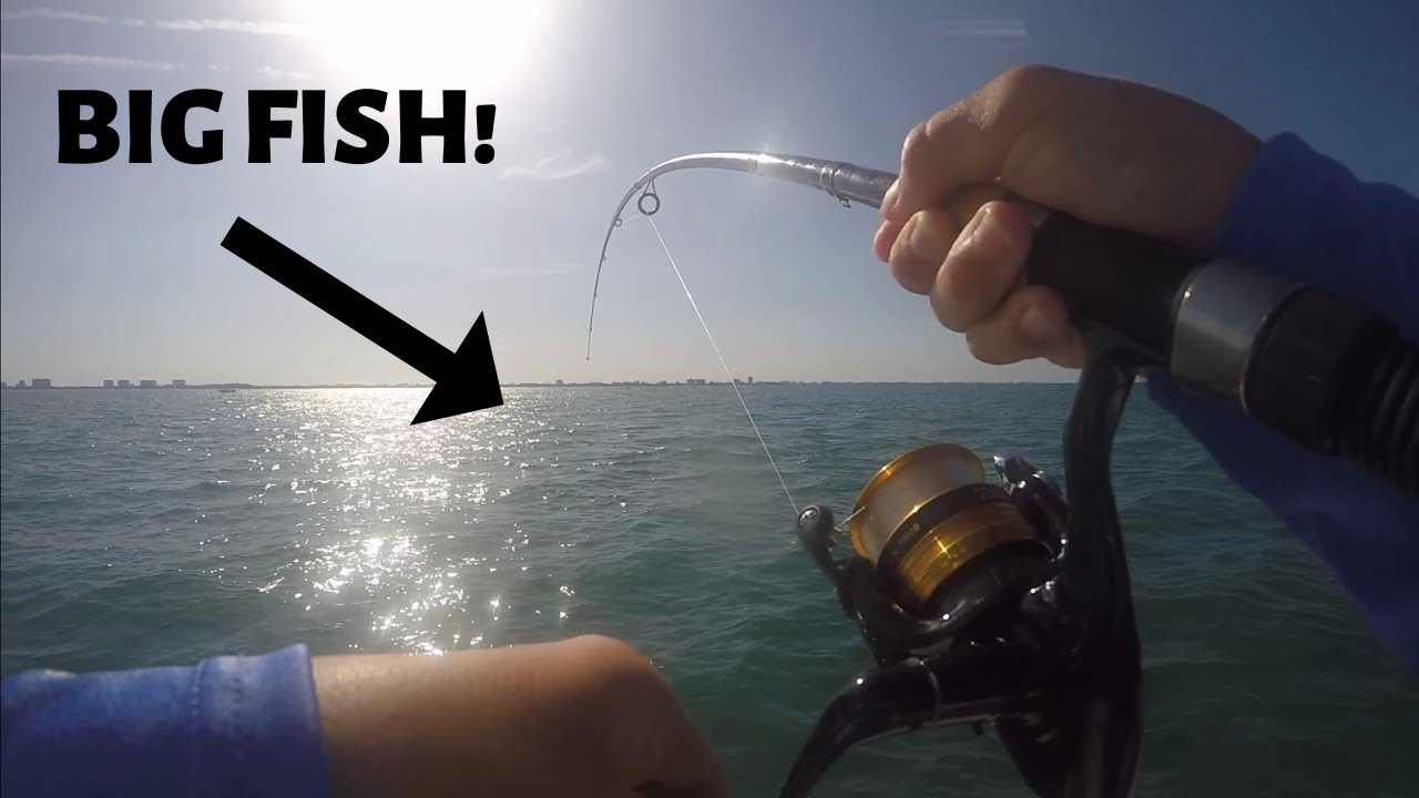 GOING OFFSHORE TO CATCH BIG REEF FISH! - (Reel Florida Fishing pt.2 ...