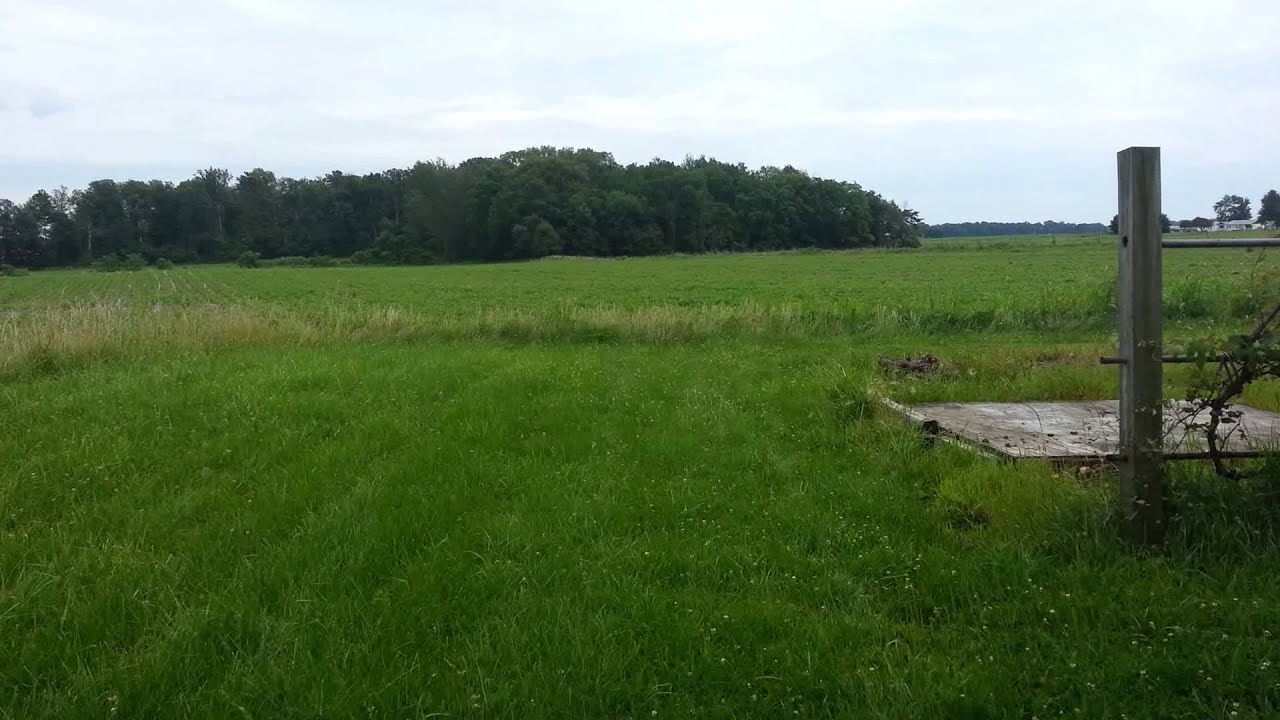 Donnas old stomping grounds - YouTube