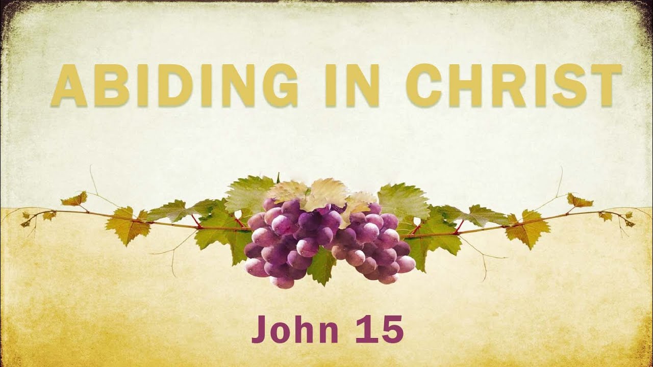 John chapter 15 Go and Bring forth Fruit! - YouTube