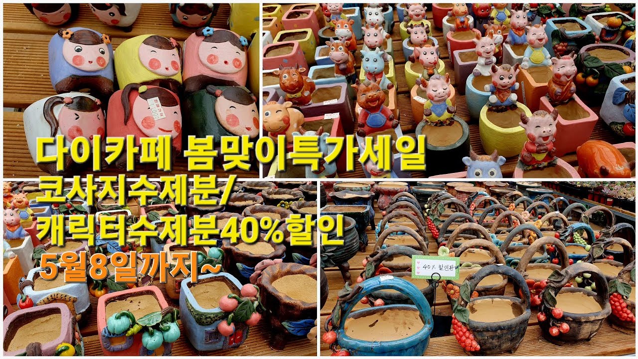 다이카페 봄맞이특가세일 신상코사지수제분40할인 5월8일까지~ 다육이화분세일 화분택배 캐릭터화분 꽃코사지화분 바구니화분