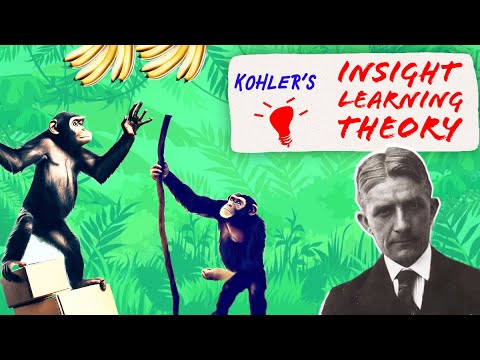 KOHLER INSIGHT THEORY - YouTube