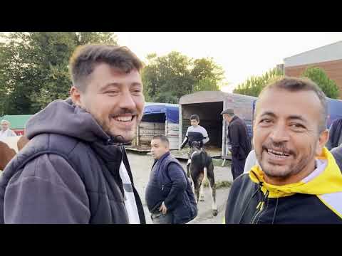 HAYVAN PAZARINDA SON DURUM