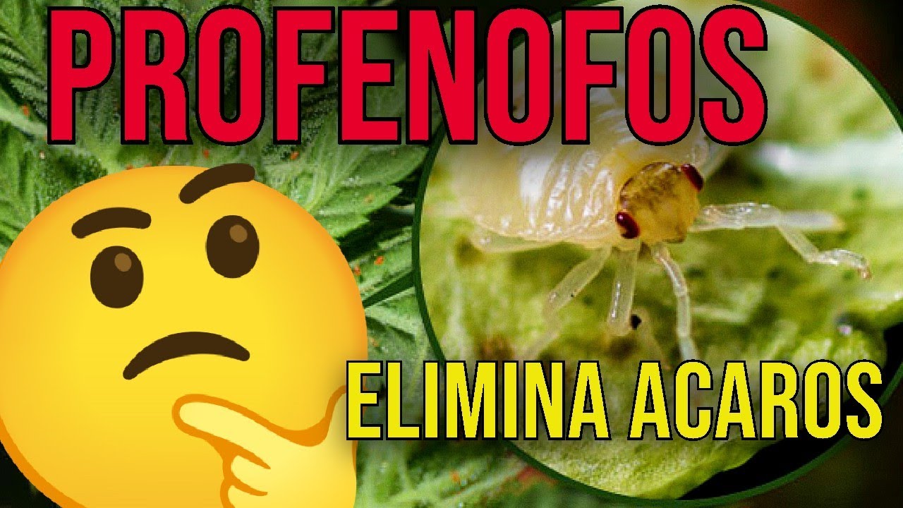 QUE ES EL PROFENOFOS, SUS CARACTERISTICAS, MODO DE ACCION, USOS, DOSIS ...