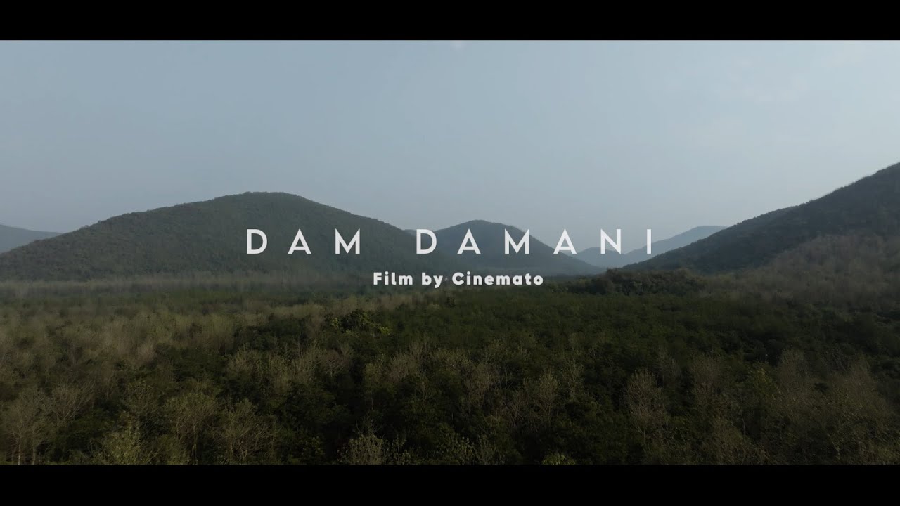 DAM DAMANI - The Green Forest of Dalijoda - YouTube