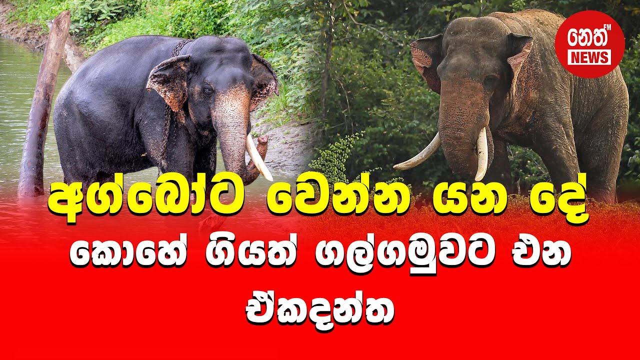අග්බෝට වෙන්න යන දේ | NETH NEWS - YouTube