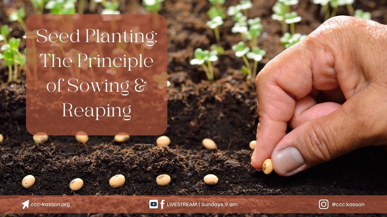 Seed Planting: The Principle of Sowing & Reaping - YouTube