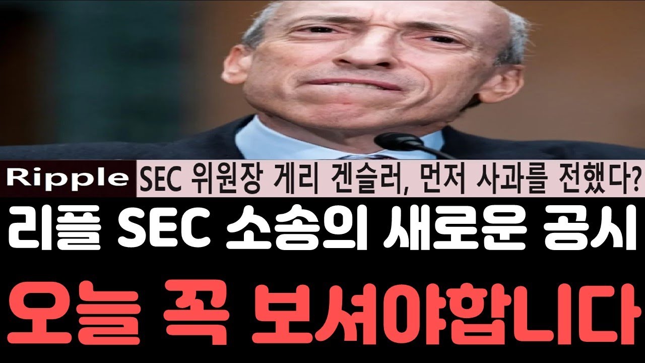 리플전망 리플 Xrp 드디어 공식적인 승리 인정됐다 Sec와의 소송 새로운 공시 오늘 영상은 꼭 보셔야합니다 리플전망 리플호재 리플급등 리플코인 리플소송